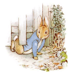 STORY TIME: The tale of Peter Rabbit