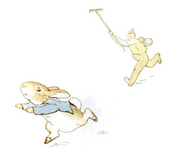 STORY TIME: The tale of Peter Rabbit