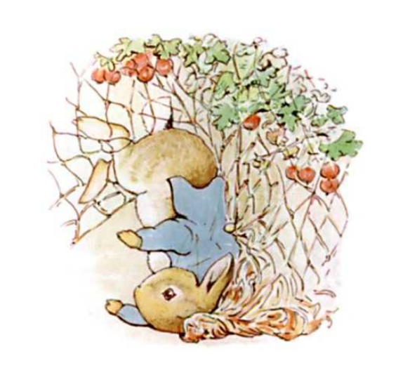 STORY TIME: The tale of Peter Rabbit