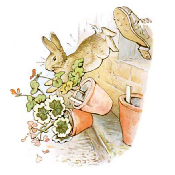 STORY TIME: The tale of Peter Rabbit